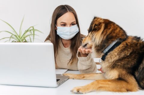 Do Dogs and Cats Get Hantavirus? Learn More Now